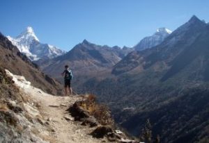The 6 Vegetation Zones of Nepal - By Mountain People
